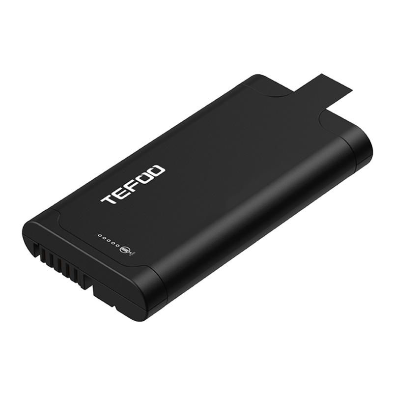 Standard battery pack – Standard Smart Lithium Battery Supplier—TEFOO ...